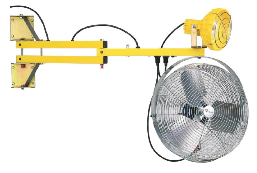 Loading Dock Fans and Fan Light Combo